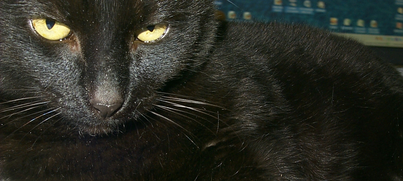 The Heart and Soul of Variance Control | Stats With Cats Blog