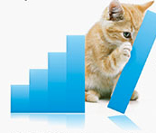 The Foundation of Professional Graphs | Stats With Cats Blog